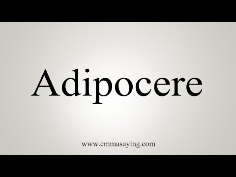 How To Say Adipocere
