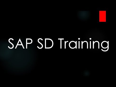 SAP ECC SD Training - Overview of SD Org Structure (Video 3) | SAP SD
