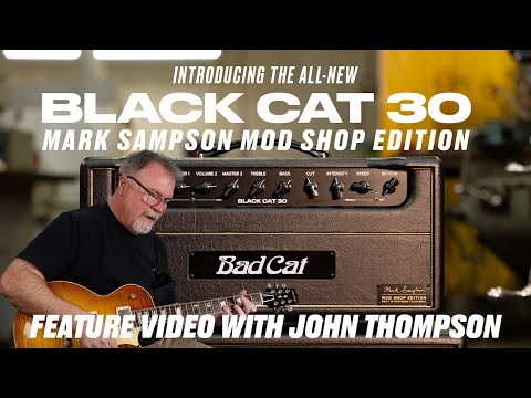 Bad Cat Mod Shop Black Cat 30 - Amp Head | Reverb