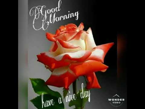 Good Morning Friends Have A Wonderful Day With Beautiful Quote From HomeDelight