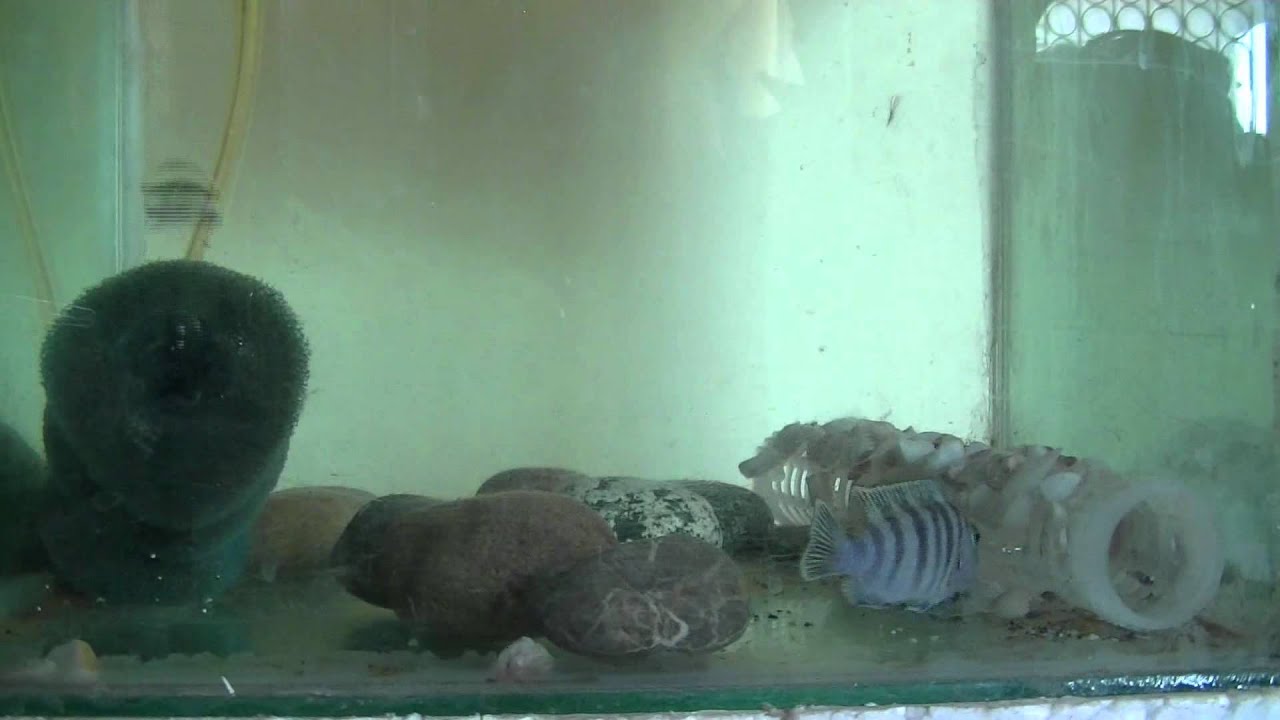 [2011-10-12-09-48-55]00255.avi