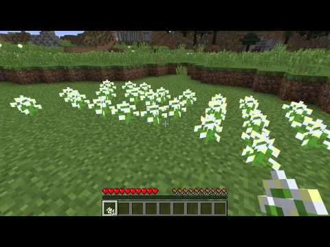 What are Azure Bluets - Minecraft Flowers