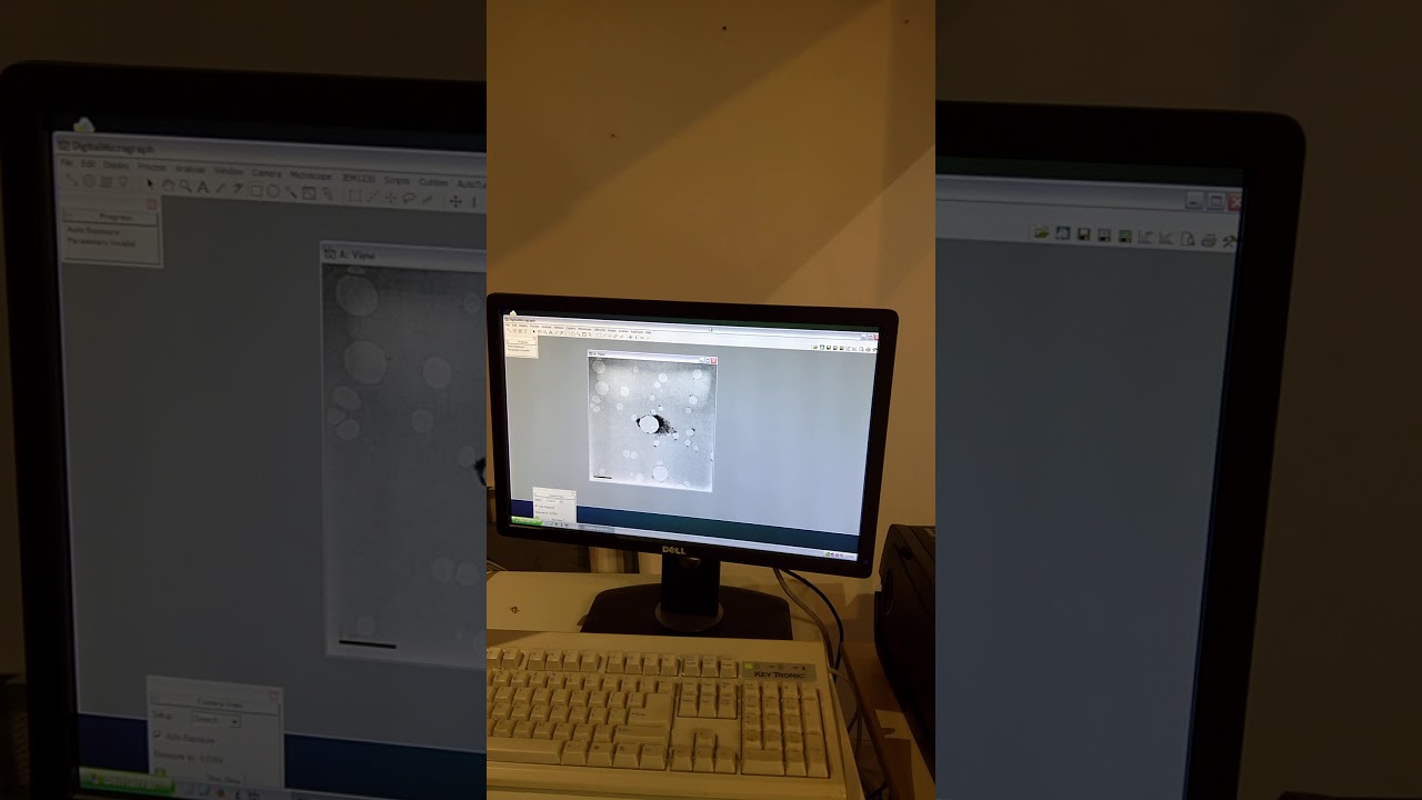 JEOL JEM-1230 transmission electron microscope