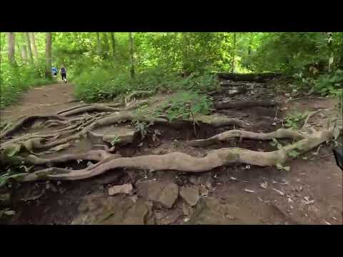 A beautiful day hike at John Bryant State Park. Yellow Springs, Ohio