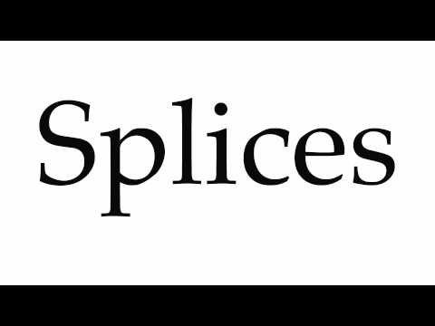 How to Pronounce Splices