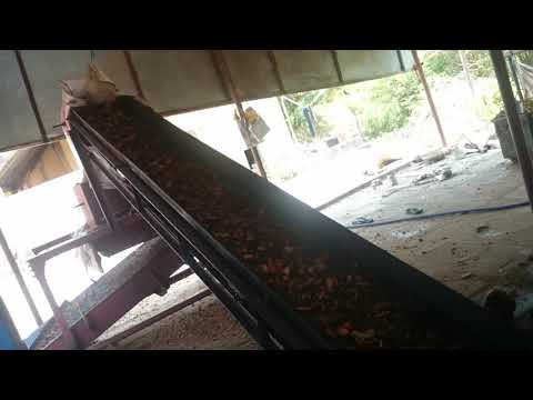 Coconut Husk Chips - Coir Husk Chips Latest Price, Manufacturers ...