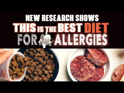 What's the best diet for dog allergies?