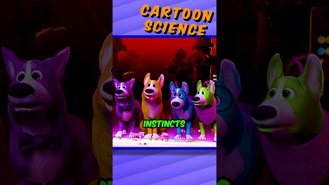 Dog vs. Cat Emotions in Inside Out