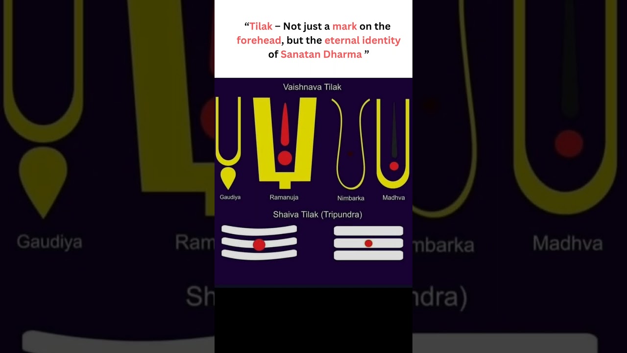 Types of Tilak in Hinduism | Vaishnava & Shaiva Tilak Explained #shorts #tilak #sanatandharma