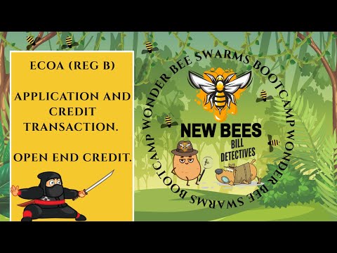 ECOA (REG B) APPLICATION AND CREDIT TRANSACTION. OPEN END CREDIT.