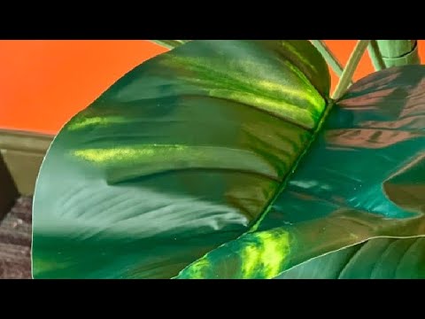 GarveeHome Artificial Scindapsus Aureus Plant Indoor, Artificial Trees for Home Office Decor Review