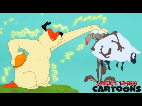 Looney Tunes Cartoons S01E07 Fleece & Desist | Review