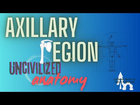 UV Anatomy Axillary Region