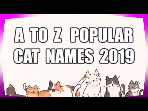 A TO Z POPULAR CAT NAMES 2019 ?