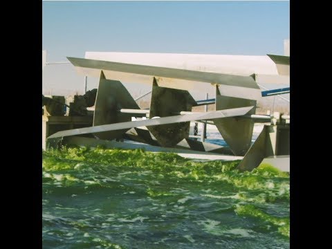 Exxon Shuts Down Algae Fuel Research Program – Prometheus Institute