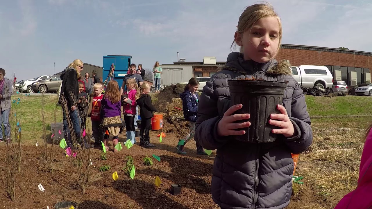 Union Stem Rain Garden