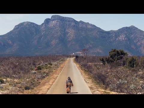 Star Wars - May the 4th be with you (Western Australia)