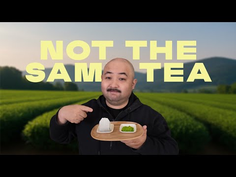 Green Tea for Beginners: Everything You Need to Know About Matcha, Sencha & More