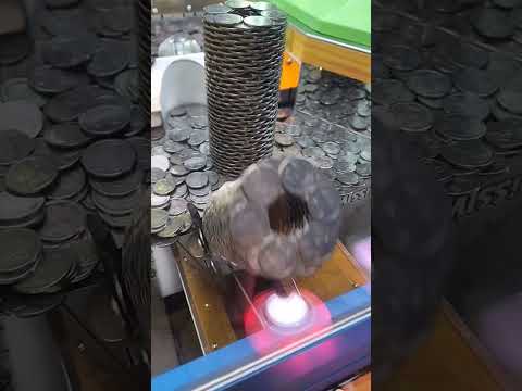 Finding coin towers in the Angry Birds coin pusher!