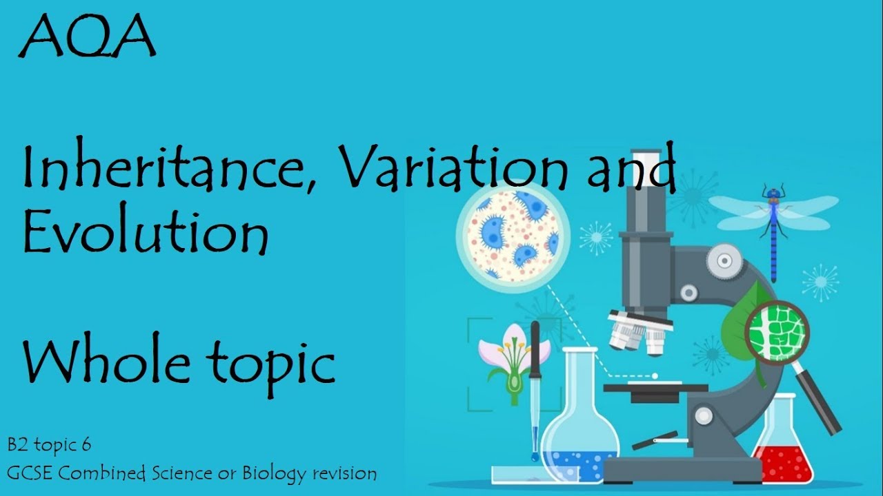 The whole of AQA INHERITANCE, VARIATION and EVOLUTION. 9-1 GCSE Biology combined science for paper 2