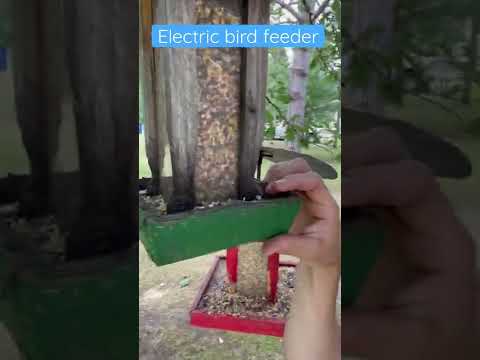 Electric Bird Feeder ZAP THE SQUIRRELS 🐿