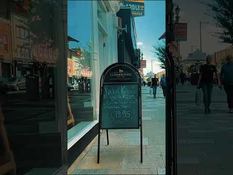 The rabbit hole Dundalk Clanbrassil street