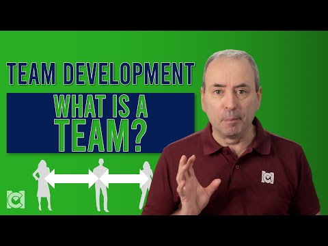 What is a Team?