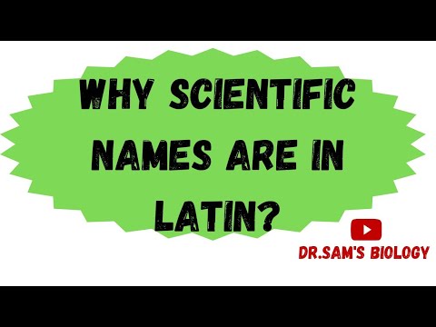Why Scientific names are in Latin?