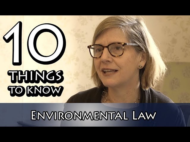 Understanding Environmental Law: Challenges and Necessities | Galaxy.ai