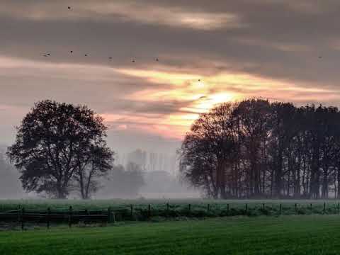Early Twilight in November