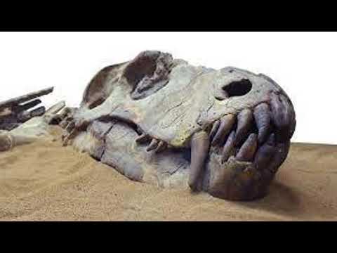Law of Superposition -to the tune of Superstition