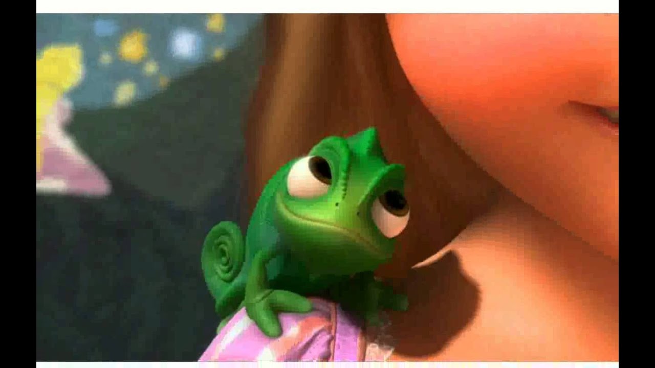 Tangled Pascal -  pictures