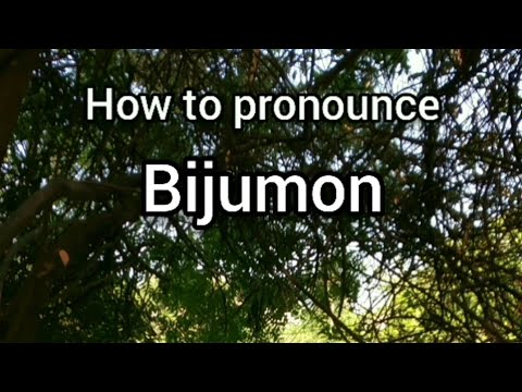 How to Pronounce Bijumon