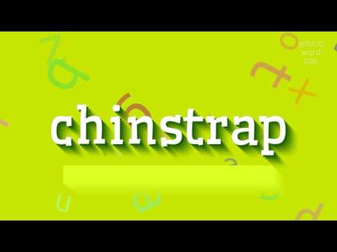 How to say "chinstrap"! (High Quality Voices)