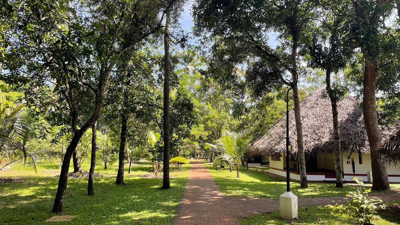 Marari Beach Resort,CGH Earth Experience
