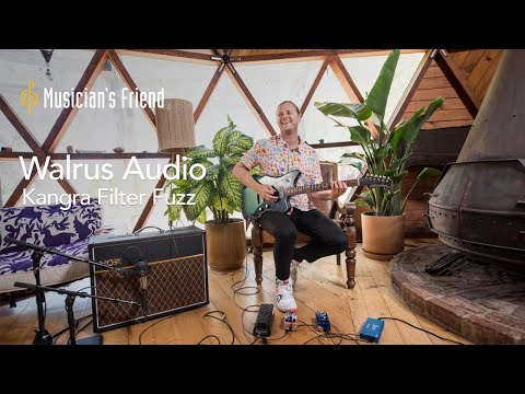 Walrus Audio Kangra Filter Fuzz Pedal - All Playing, No Talking with Jared Scharff