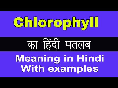 Chlorophyll Meaning in Hindi/Chlorophyll ka kya Matlab Hota hai