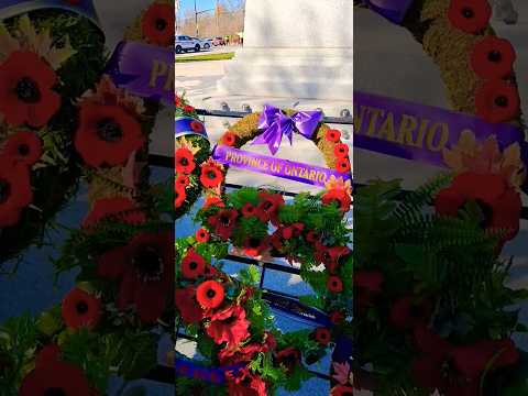 It's Remembrance Day - Lest we forget #remembranceday #remembrance #soldiers #lestweforget #shorts