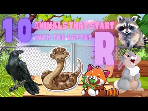 10 Amazing Animals That Start with 'R' | Fun Facts for Kids!