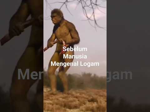 Zaman Paleolitikum Awal, Saat Manusia Purba Belum Mengenal Logam #video #edukasi #sejarah #viral