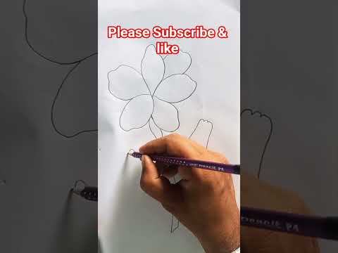 Lily Flower - Beauty, Symbolism, and Facts #art #drawing #flowers #floralseries