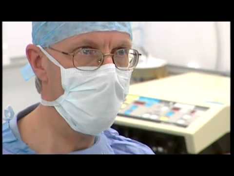 Vanguard Healthcare Solutions Ltd - An Operational Overview