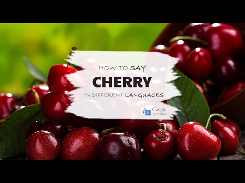 CHERRY - FRUIT NAMES | HOW TO SAY | DIFFERENT LANGUAGES