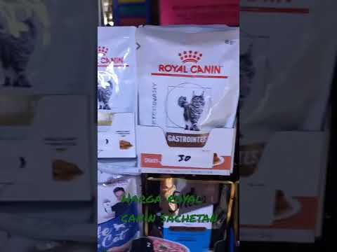harga royal canin sachetan #short #royalcanin #kucing #makanankucing