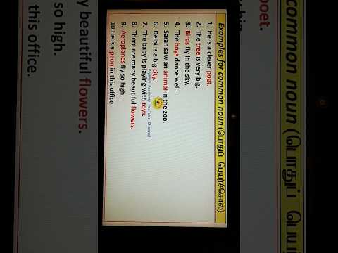 Examples for common Noun