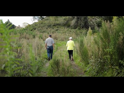 The Power Of Storytelling In Relation To Kaitiakitanga | Project Whakahaumanu