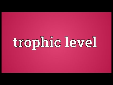 Trophic level Meaning