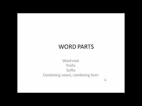 medical terminology- formation- word parts