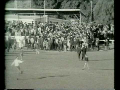 TOM HAFEY