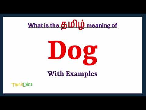 Dog Meaning in Tamil | Dog in Tamil | Dog in Tamil Dictionary |